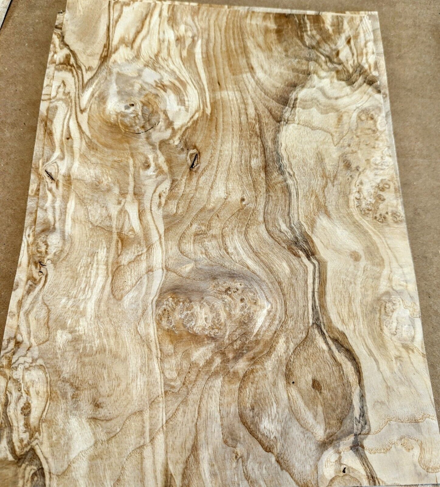 Olive Ash Burl Veneer Italian Olive Timber (Air Dried) 24/23 Surrey