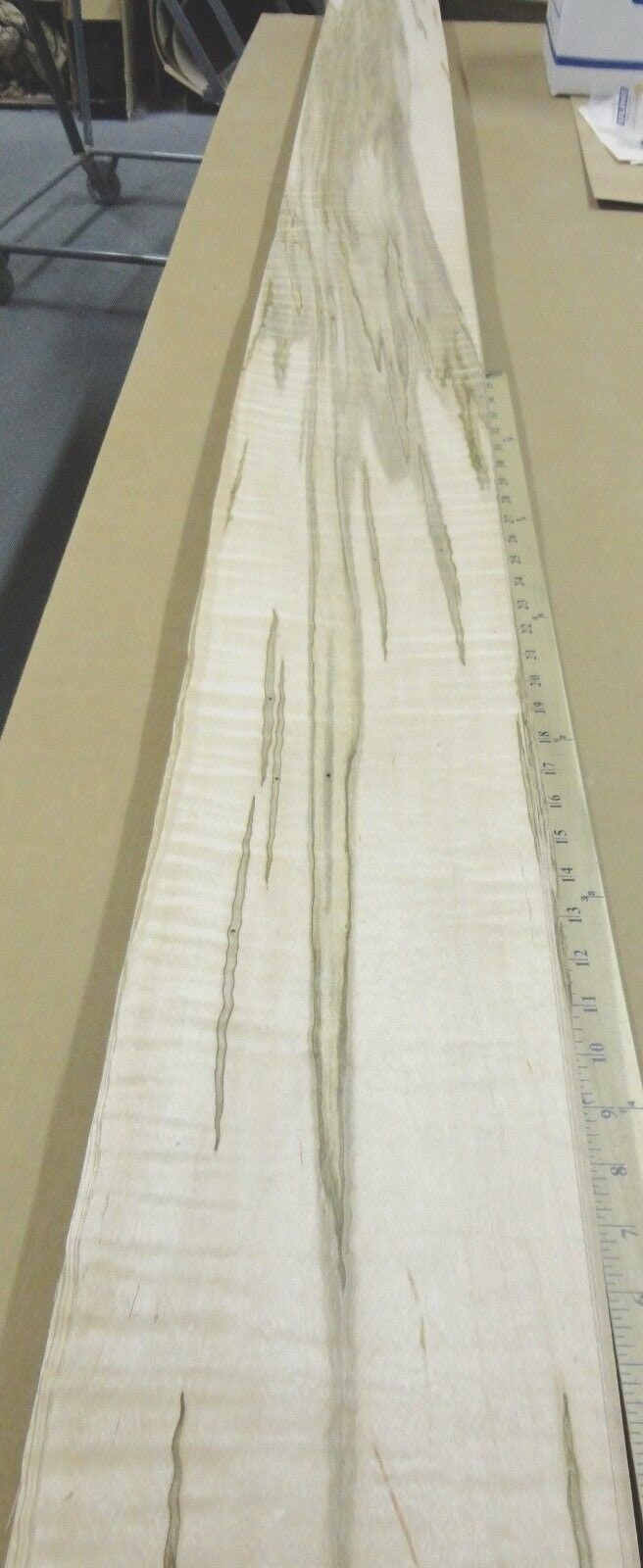 Maple Spalted Wormy Figured Wood Veneer 7 X 120 Raw No Backing 1/42 ...