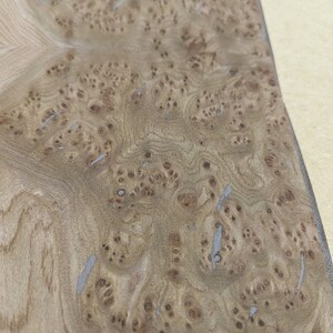 Carpathian Elm Burl Wood Veneer 11" X 17" With Paper Backer A Grade 1/ ...