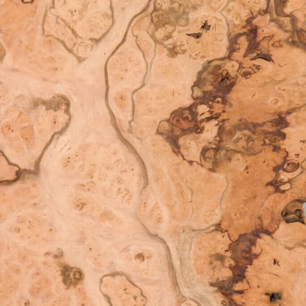 Burl Wood Inlay - Etsy