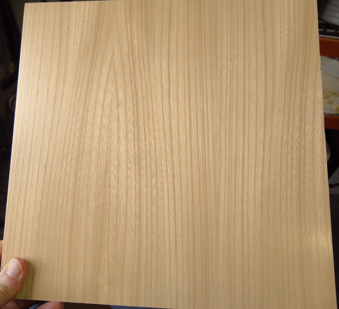 Sen Elm Prefinished Wood Veneer Panel 12" X 12" X 1/4" MDF Rift White ...