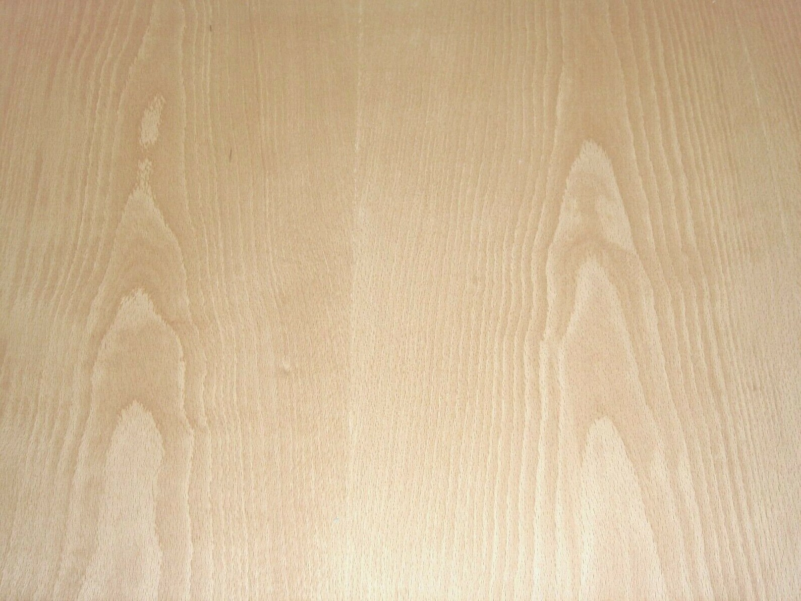 Beech Steamed Flat Cut Wood Veneer Sheet 24 X 24 | Etsy