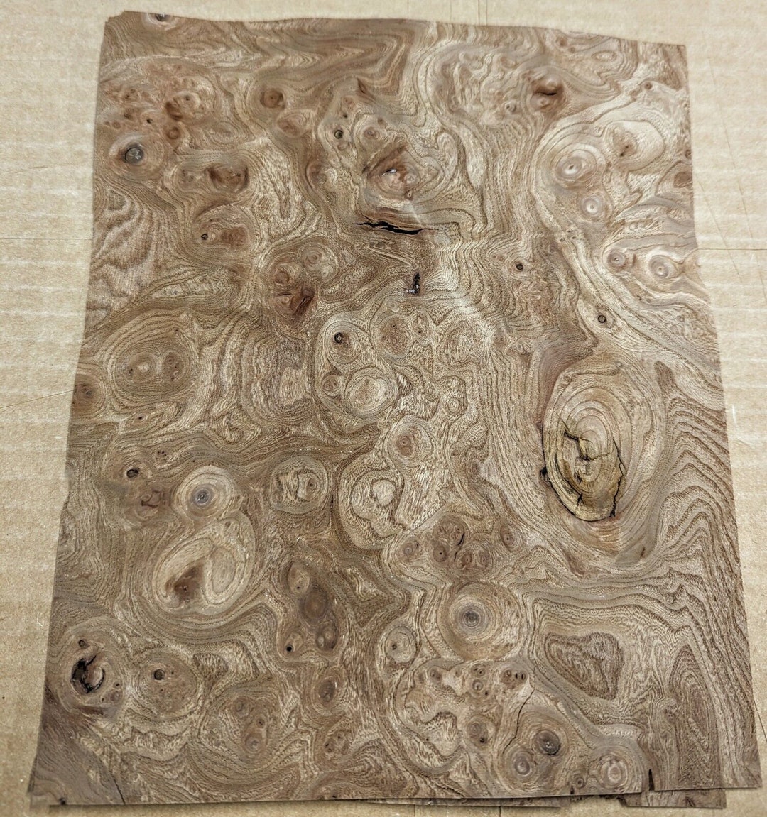 Carpathian Elm Burl Wood Veneer 7.5 X 8 5 Raw No - Etsy