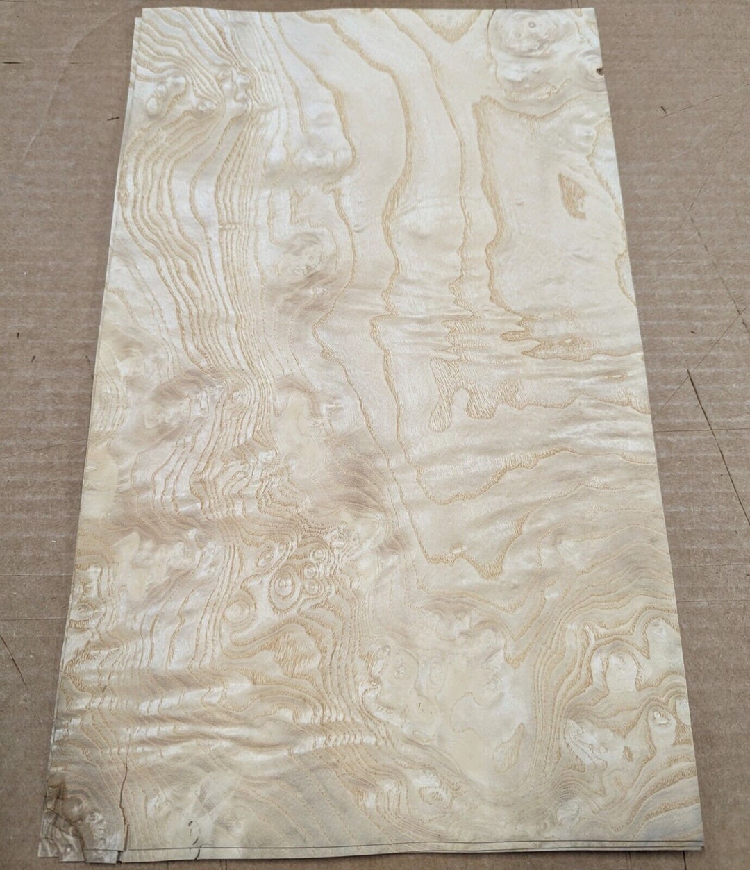 White Ash Burl Wood Veneer 10" X 17" Raw No Backing 1/42" Thickness A ...