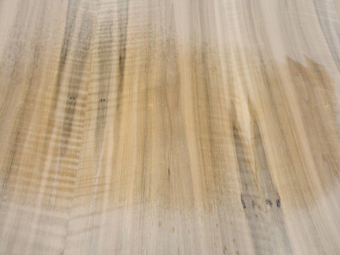 Maple Spalted Ambrosia Wood Veneer 48" X 24" X 1/40" on PSA Peel Stick ...