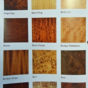 Wood Veneer Sample Book 100 Species 5 X 8 Size - Etsy
