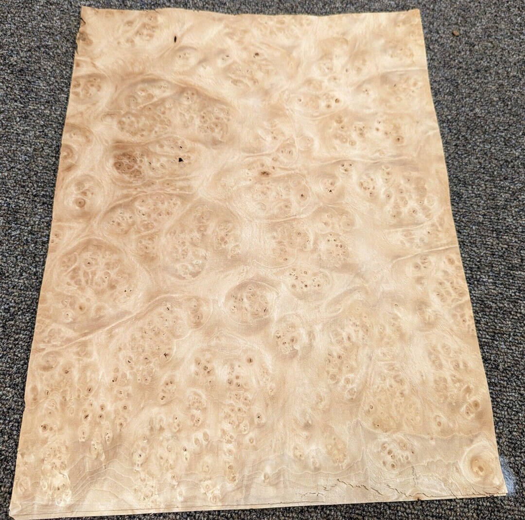 Pimento Pepperwood Burl Wood Veneer 12" X 15" Raw No Backing 1/42 ...