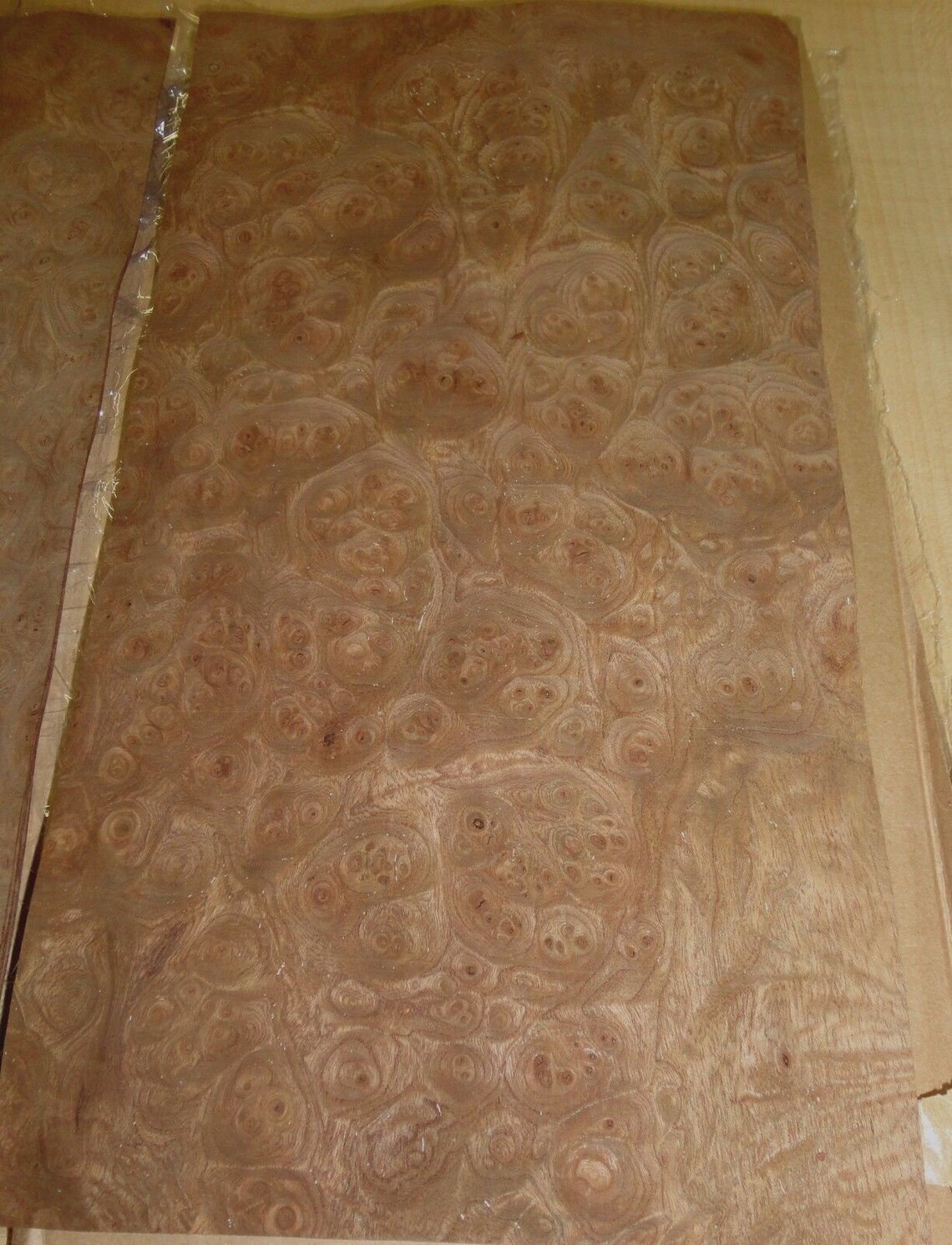 Carpathian Elm Burl Wood Veneer 6 X 11 Raw No - Etsy