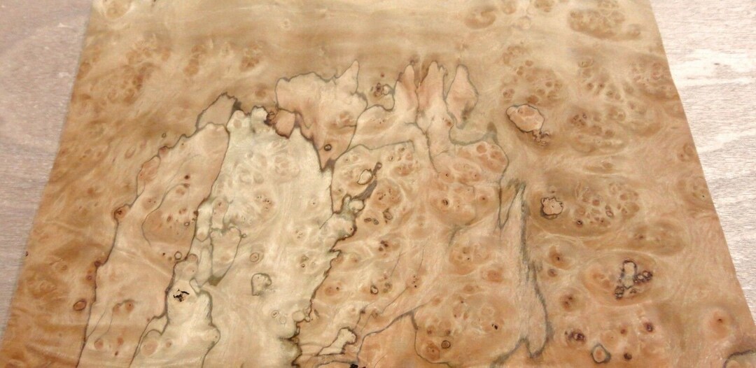 Pimento Pepperwood Burl Wood Veneer 12 X 17 Raw No Backing 1/42 ...