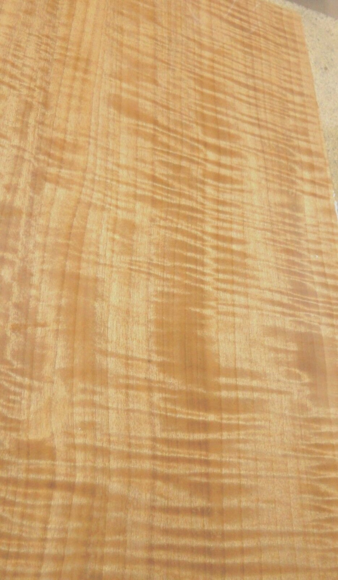 Anigrefigured Fiddleback Wood Veneer 12" X 15" Raw No Backing 1/42 ...