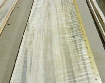 Fiddleback Maple - Etsy