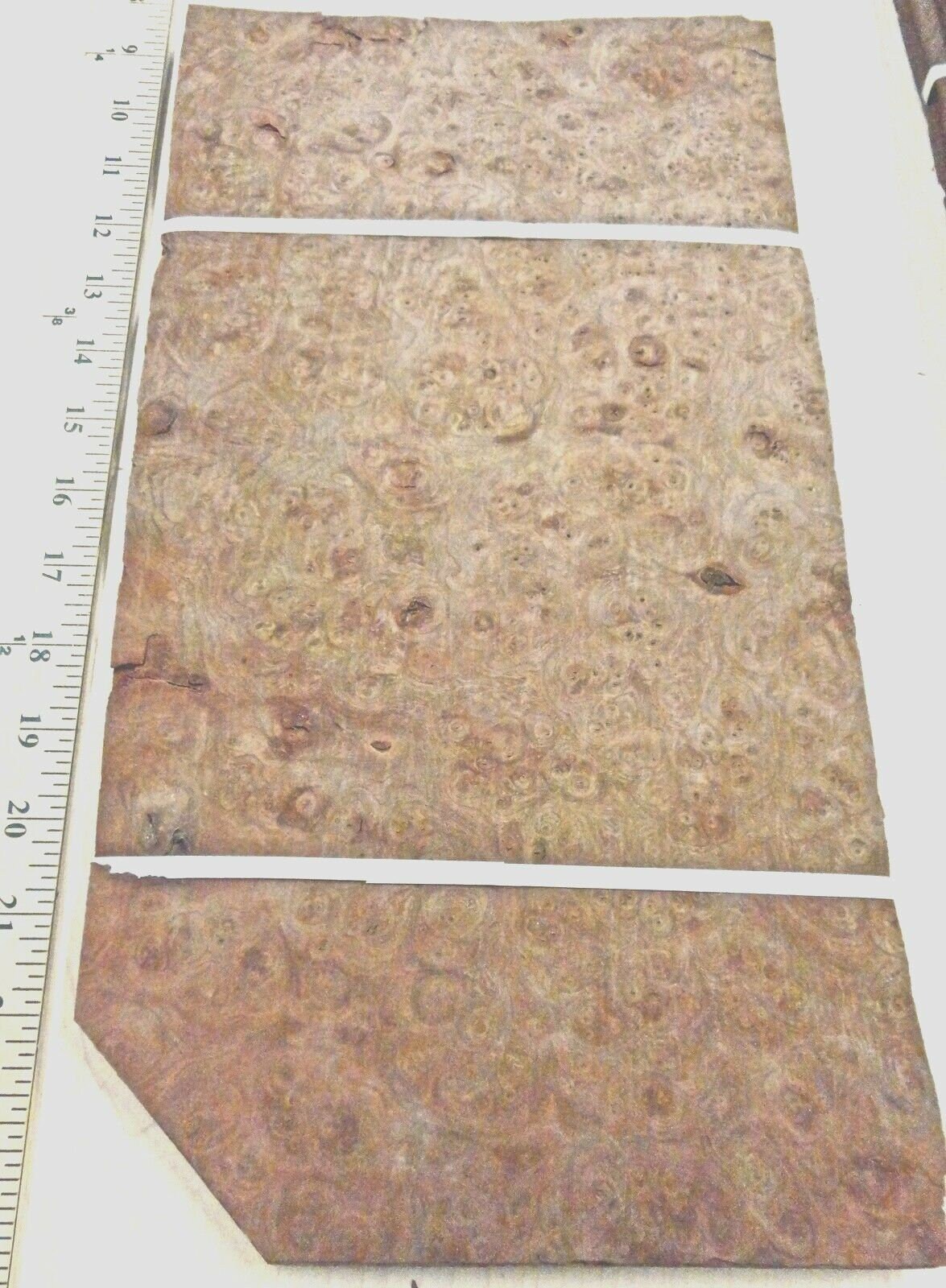 Carpathian Elm Burl Wood Veneer 8 X 15 Raw No | Etsy