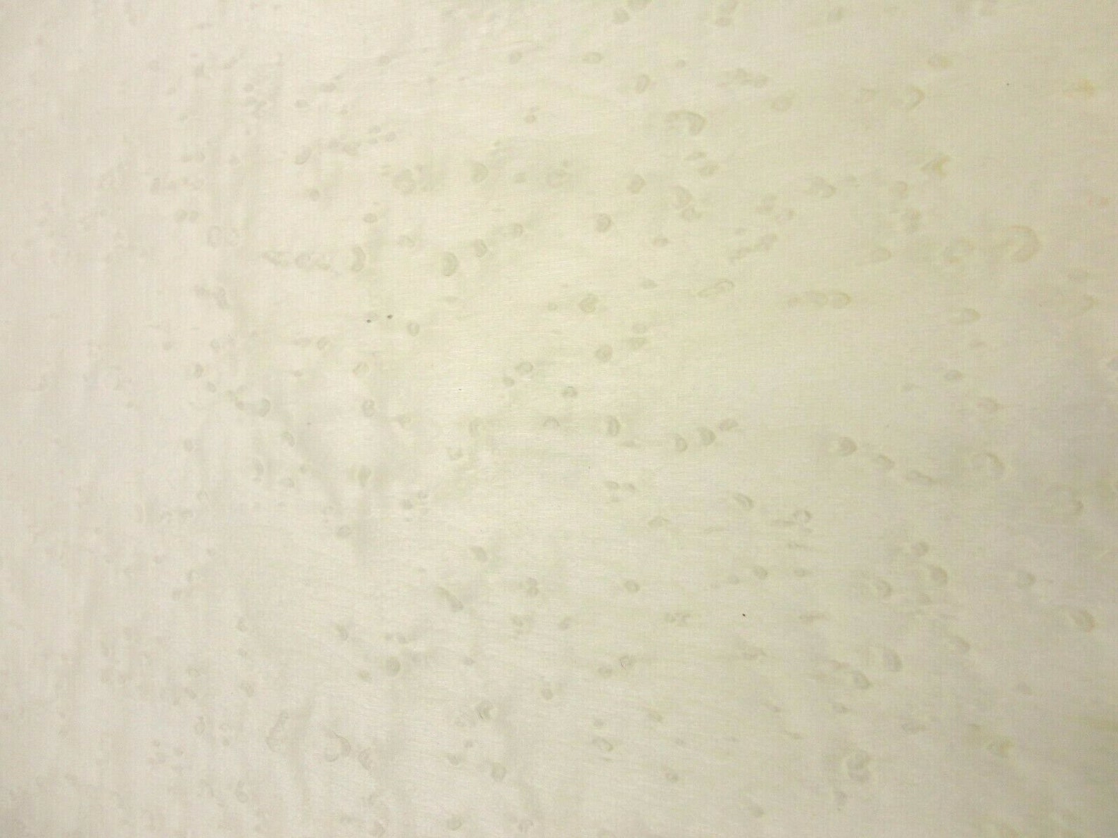 Birdseye Maple Dyed Bleached Wood Veneer 24" X 19" on Paper Backer 1/40 ...