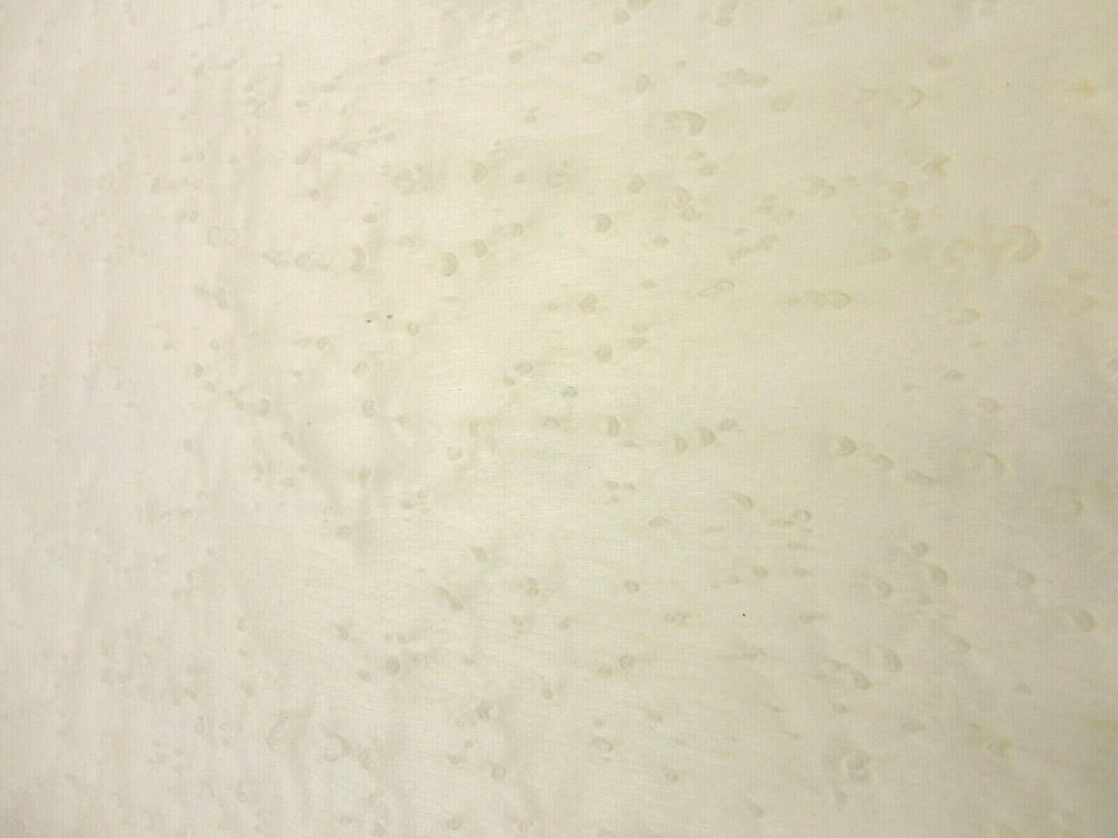 Birdseye Maple Dyed Bleached Wood Veneer 24" X 19" on Paper Backer 1/40 ...