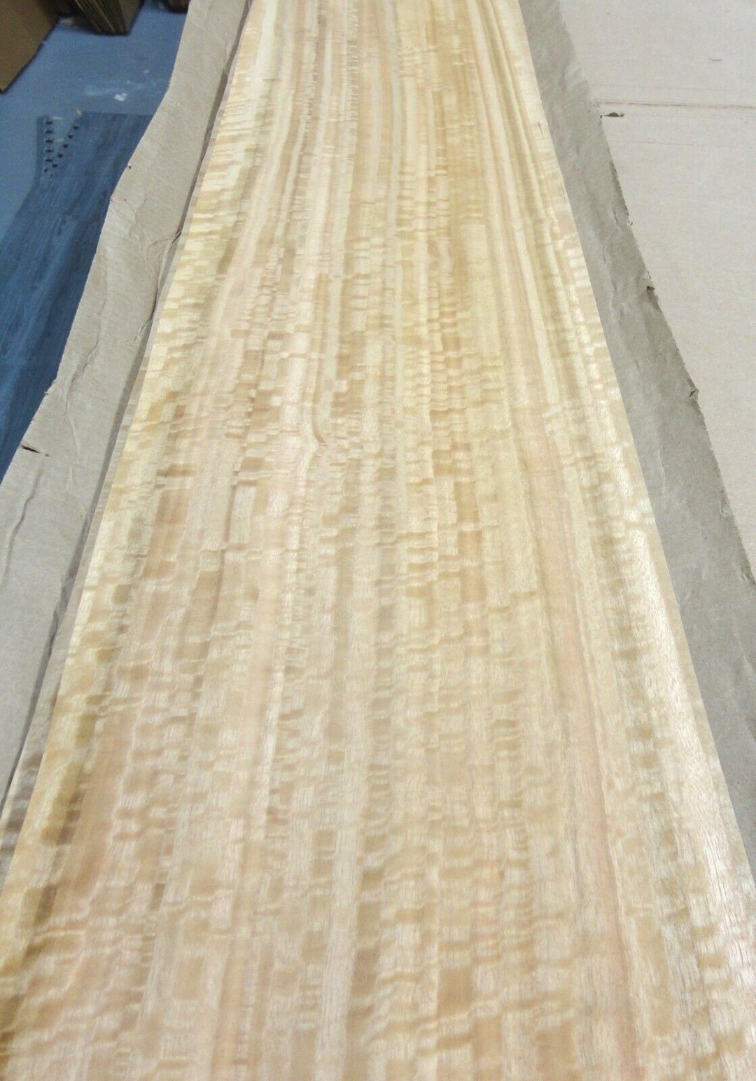 Eucalyptus Pommele Figured Wood Veneer 15 X 110 Raw No Backing 1/42 ...