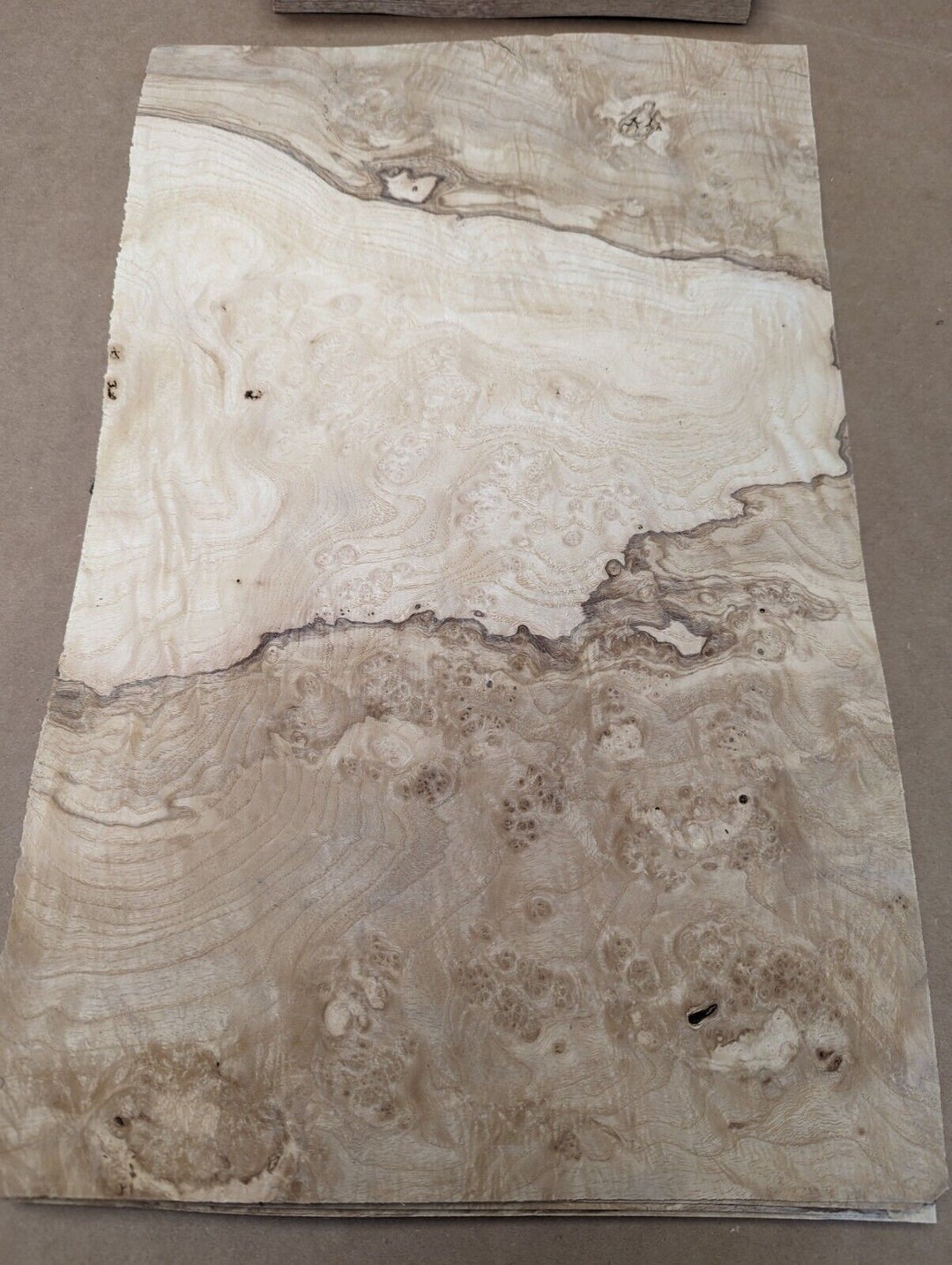 Olive Ash Burl Wood Veneer 11" X 18" With No Backing Raw Veneer 1/42 ...