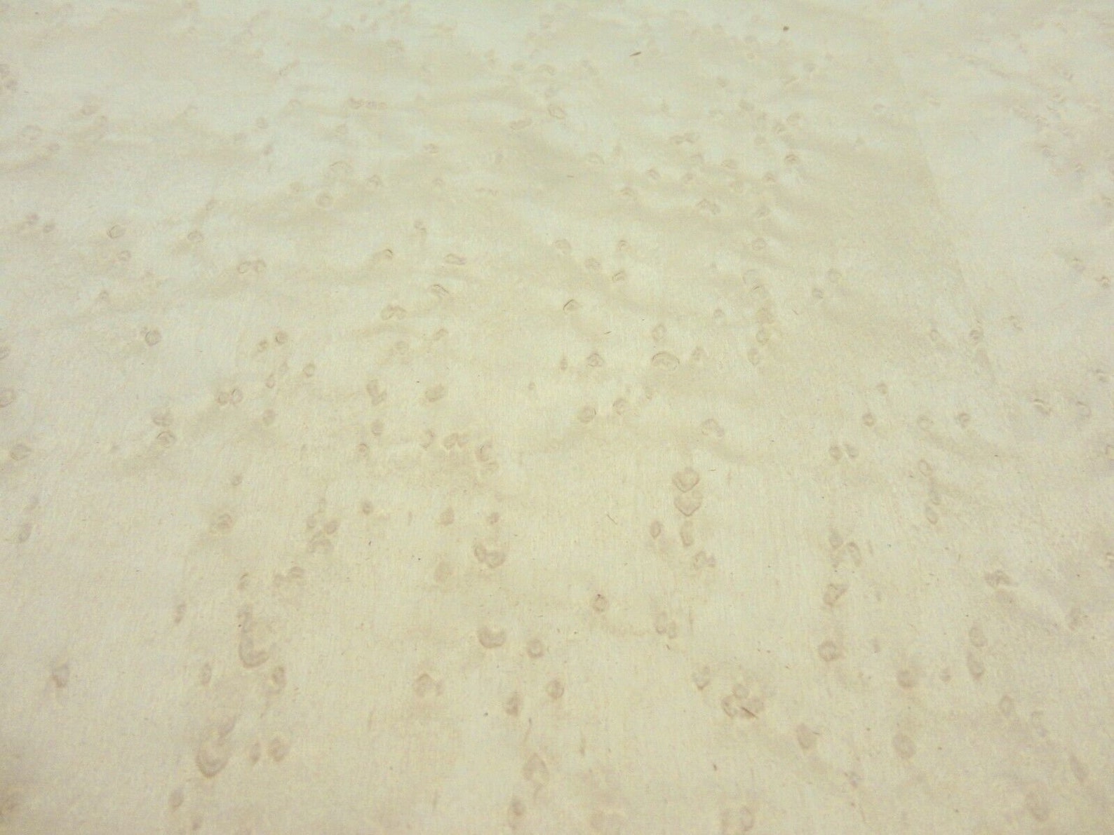 Birdseye Maple Dyed Bleached Wood Veneer 24" X 19" on Paper Backer 1/40 ...