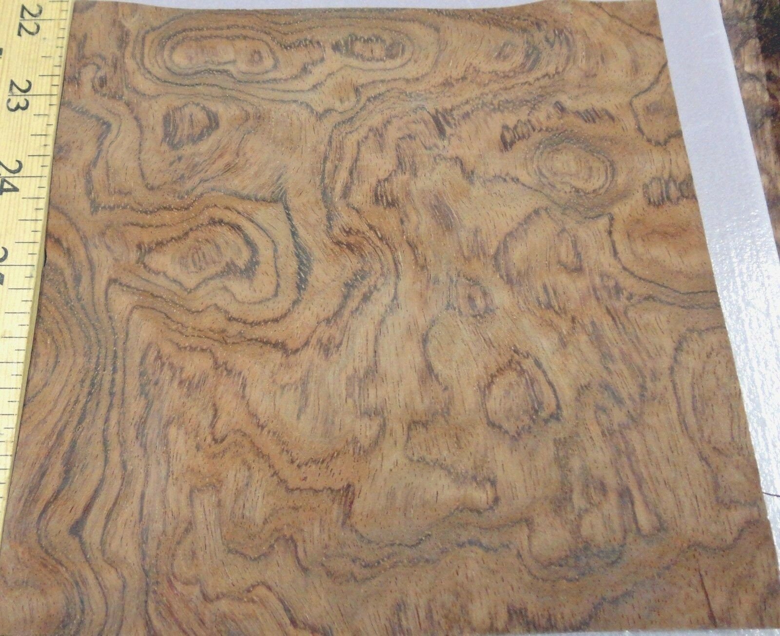 Figured Waterfall Bubinga Wood Veneer 6 X 6 Raw No | Etsy