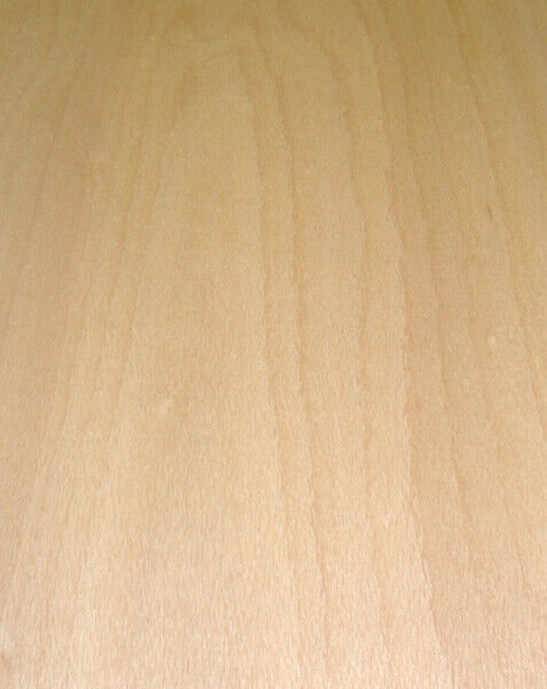 Beech Steamed Flat Cut Wood Veneer Sheet 24 X 24 | Etsy