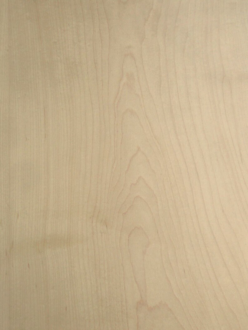 Maple Wood Veneer 24x 48 With Peel and Stick PSA - Etsy