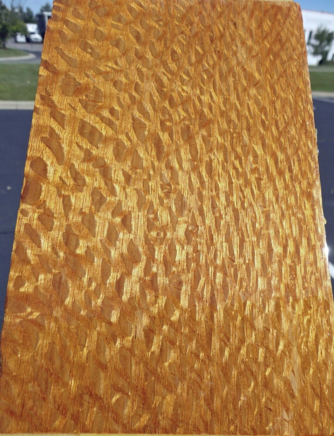 Australian Figure Lacewood Wood Veneer Sample Pack = 14 Pieces With ...