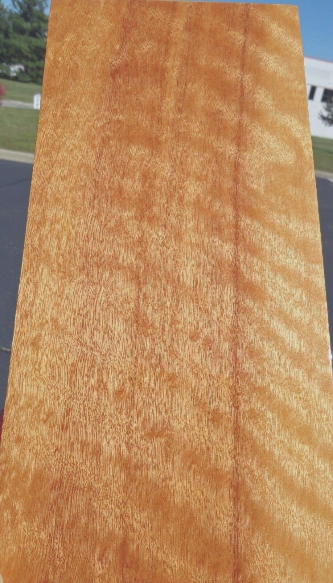 Mahogany Figured Bosse African Cedar Wood Veneer 6" X 35" Raw No ...