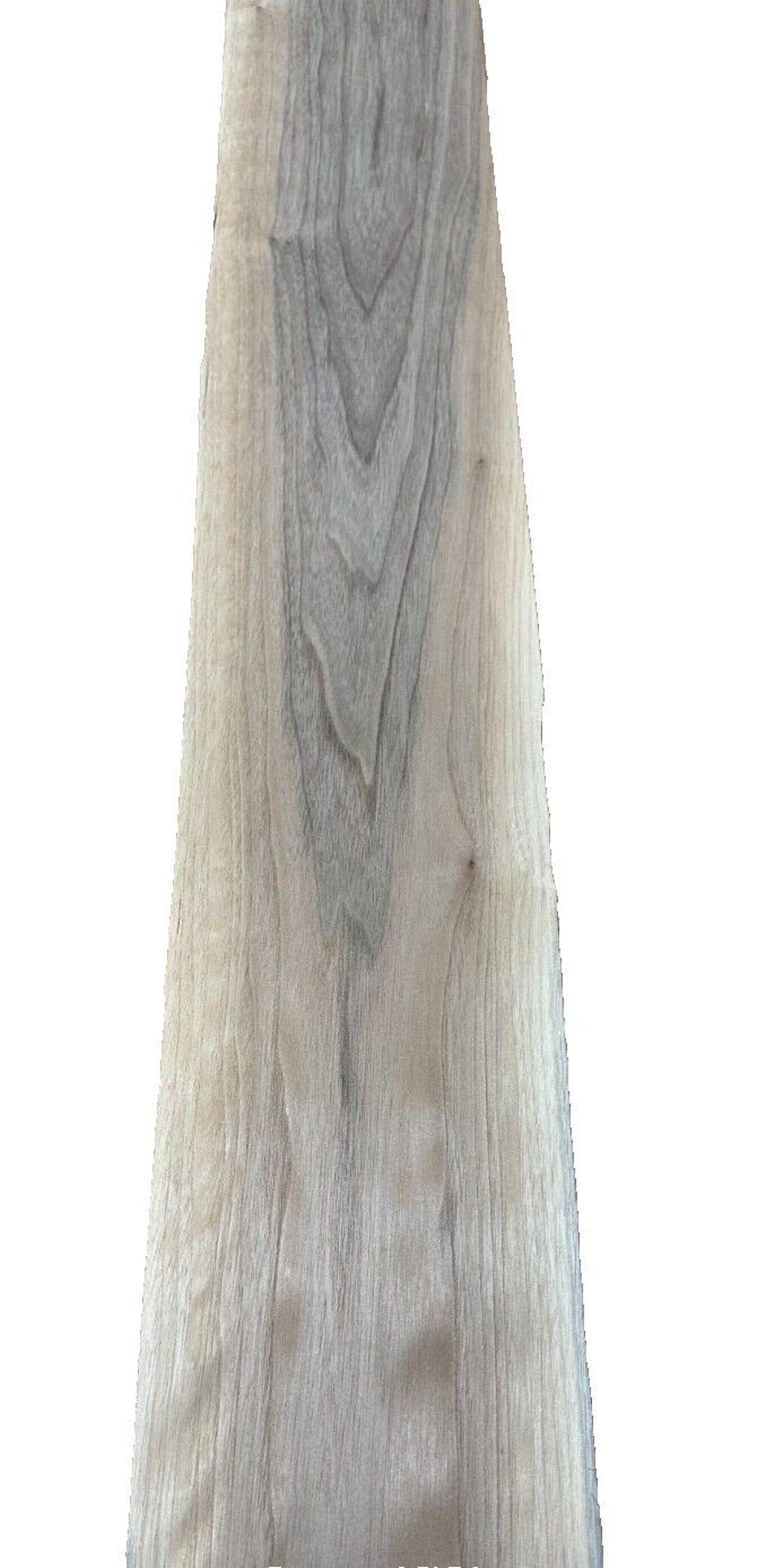 Walnut Sappy Wood Veneer Sheet 7” X 61” Raw No Backing 1/42" Thickness ...