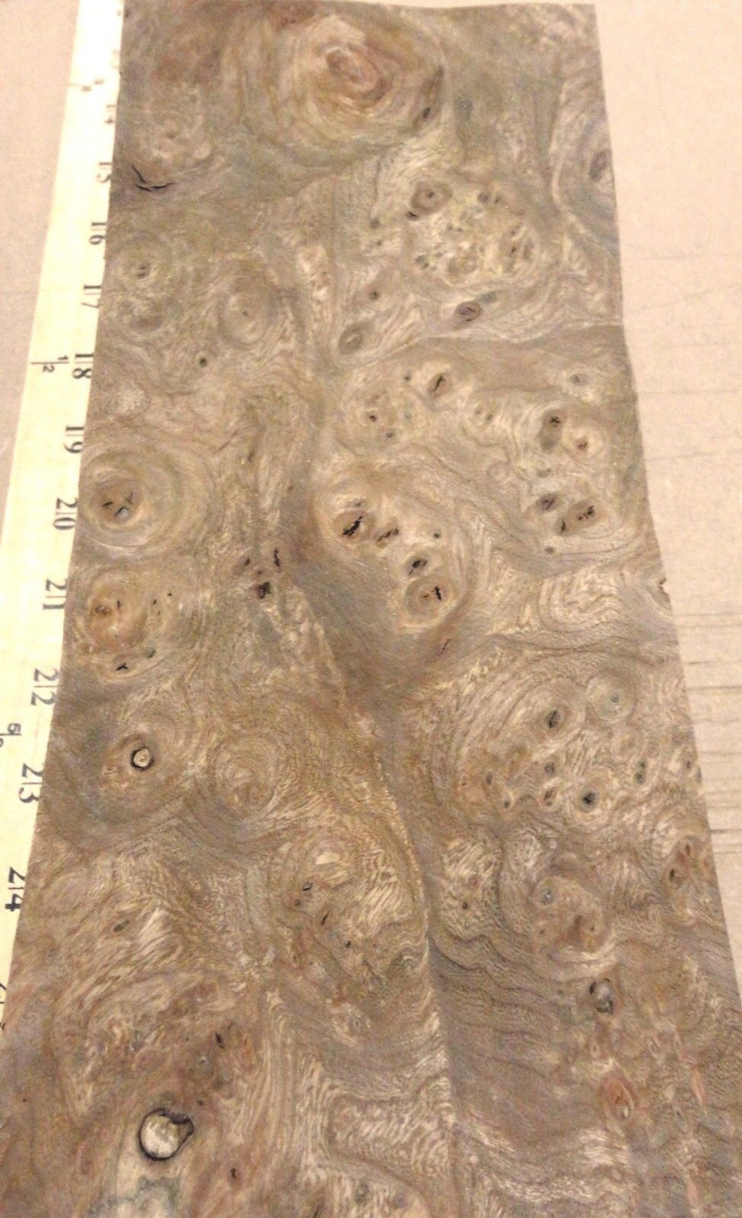 Carpathian Elm Burl Wood Veneer 4" X 9" Raw No Backing AA Grade 1/42 ...