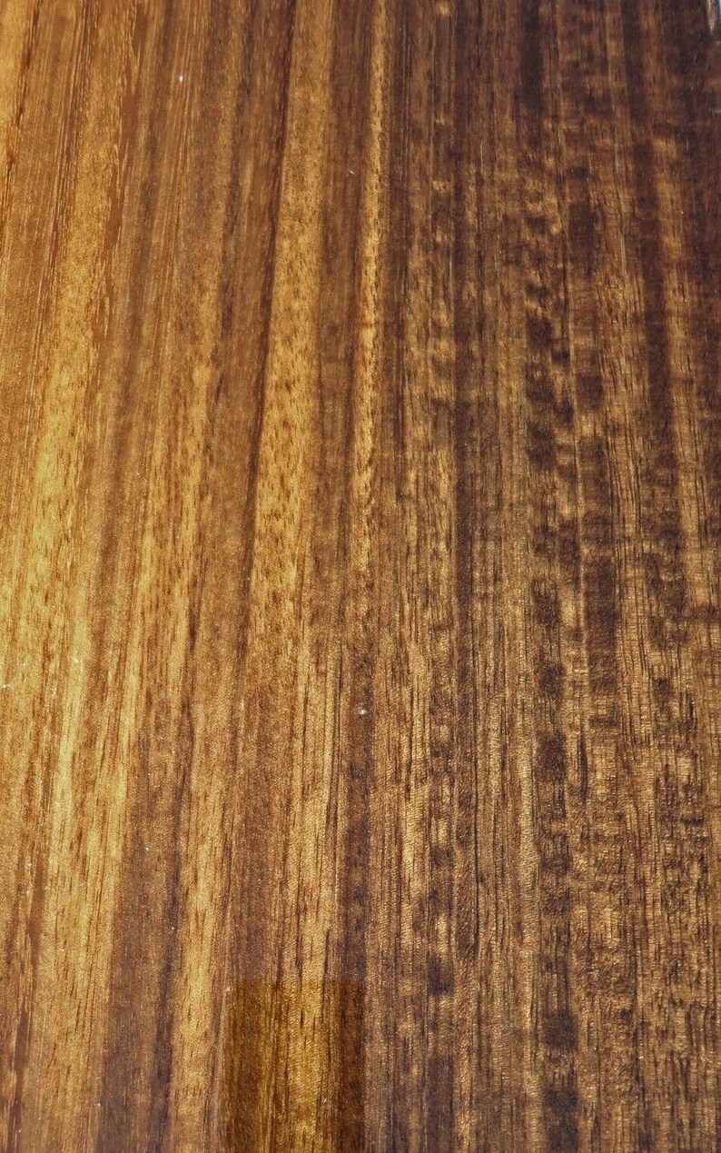 Eucalyptus Smoked Fumed Wood Veneer 6.5 X 24 Raw - Etsy