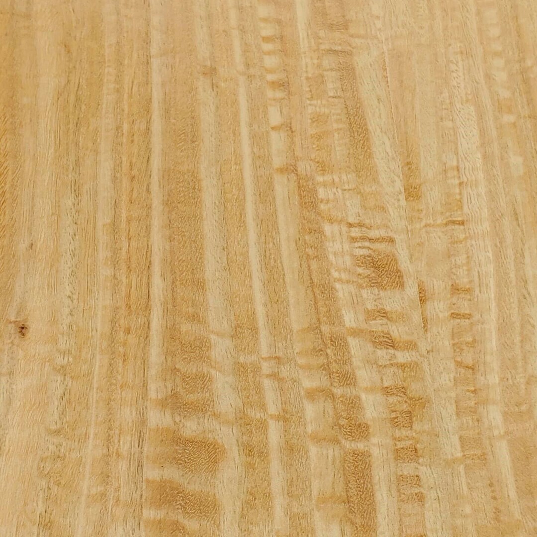 Eucalyptus Figured Australian Wood Veneer 24" X 24" on Wood Backer 1/25 ...
