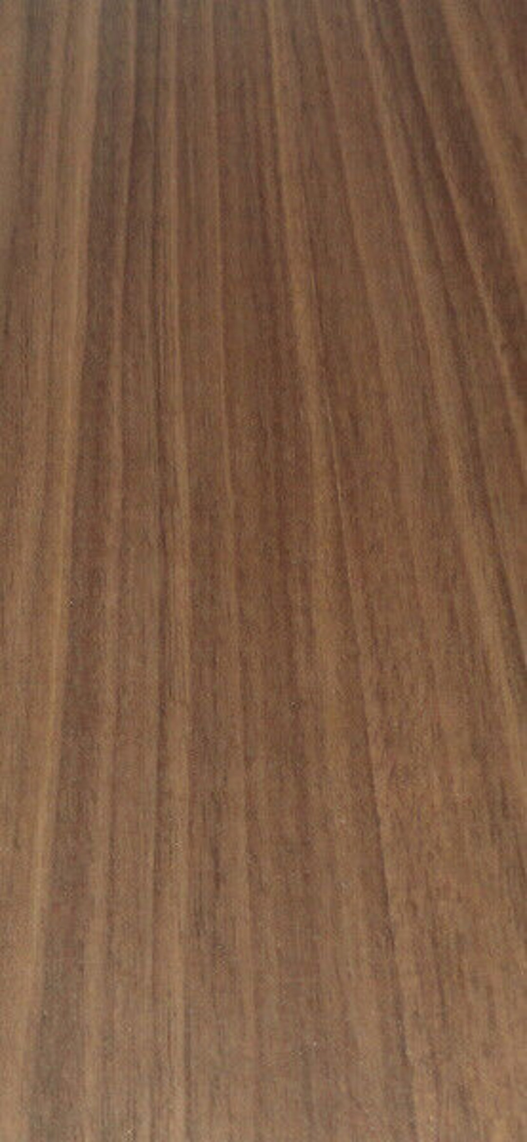 Walnut Wood Veneer Edgebanding Roll 7/8" X 120" With Hot Melt Adhesive ...