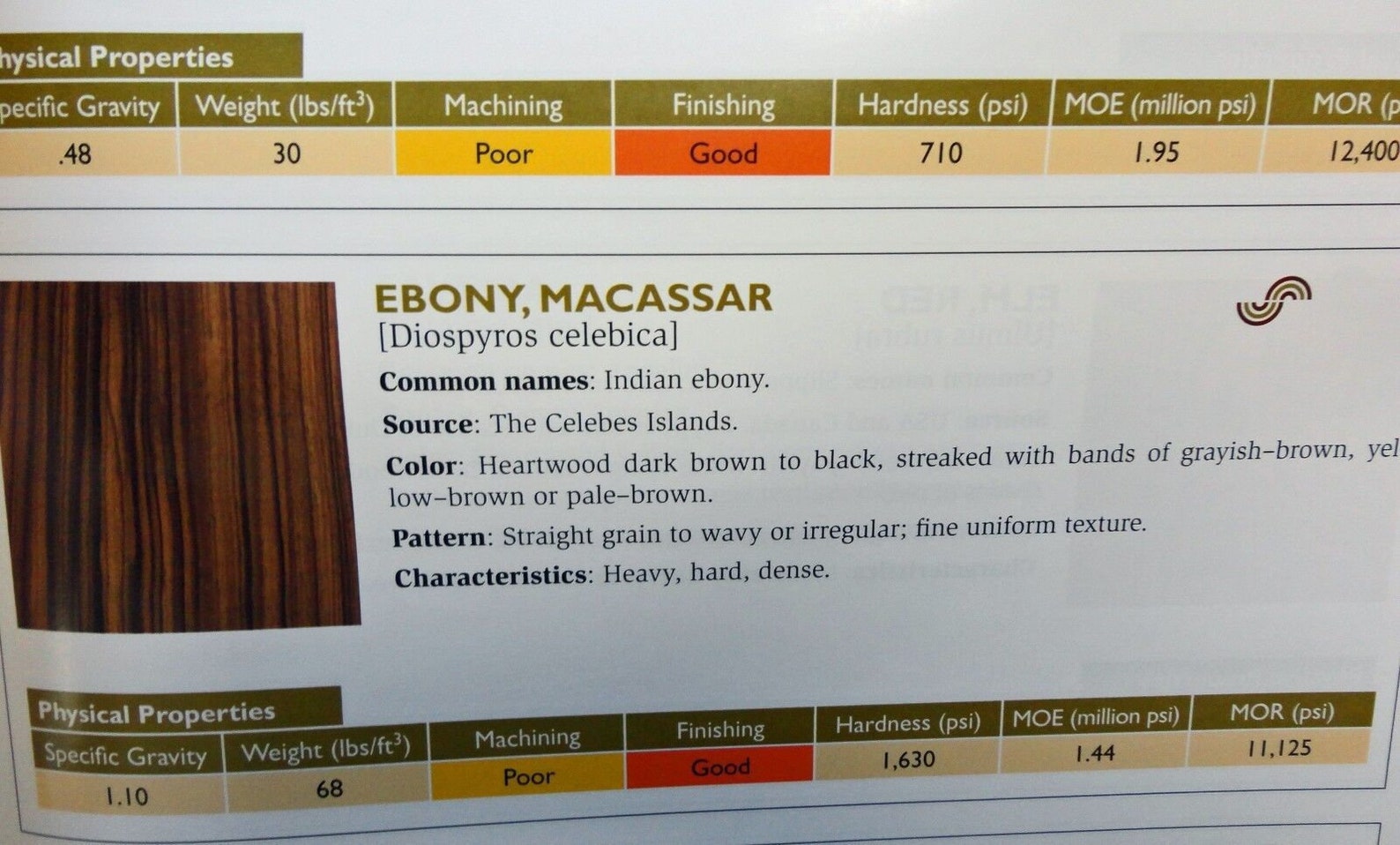 Wood Veneer Sample Species Color Picture Photo Guide 80 Pages - Etsy