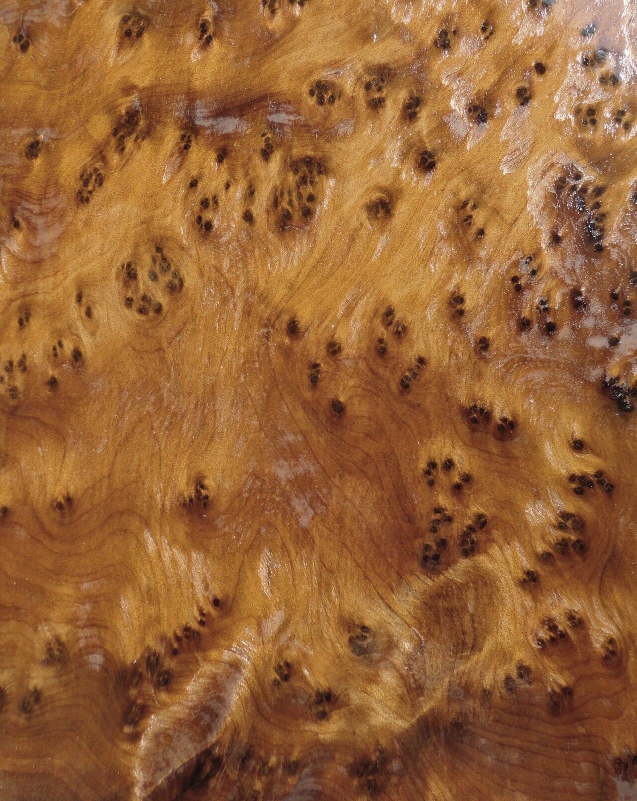 Thuya Burl Wood Veneer 3 X 10 Raw With No Backing | Etsy