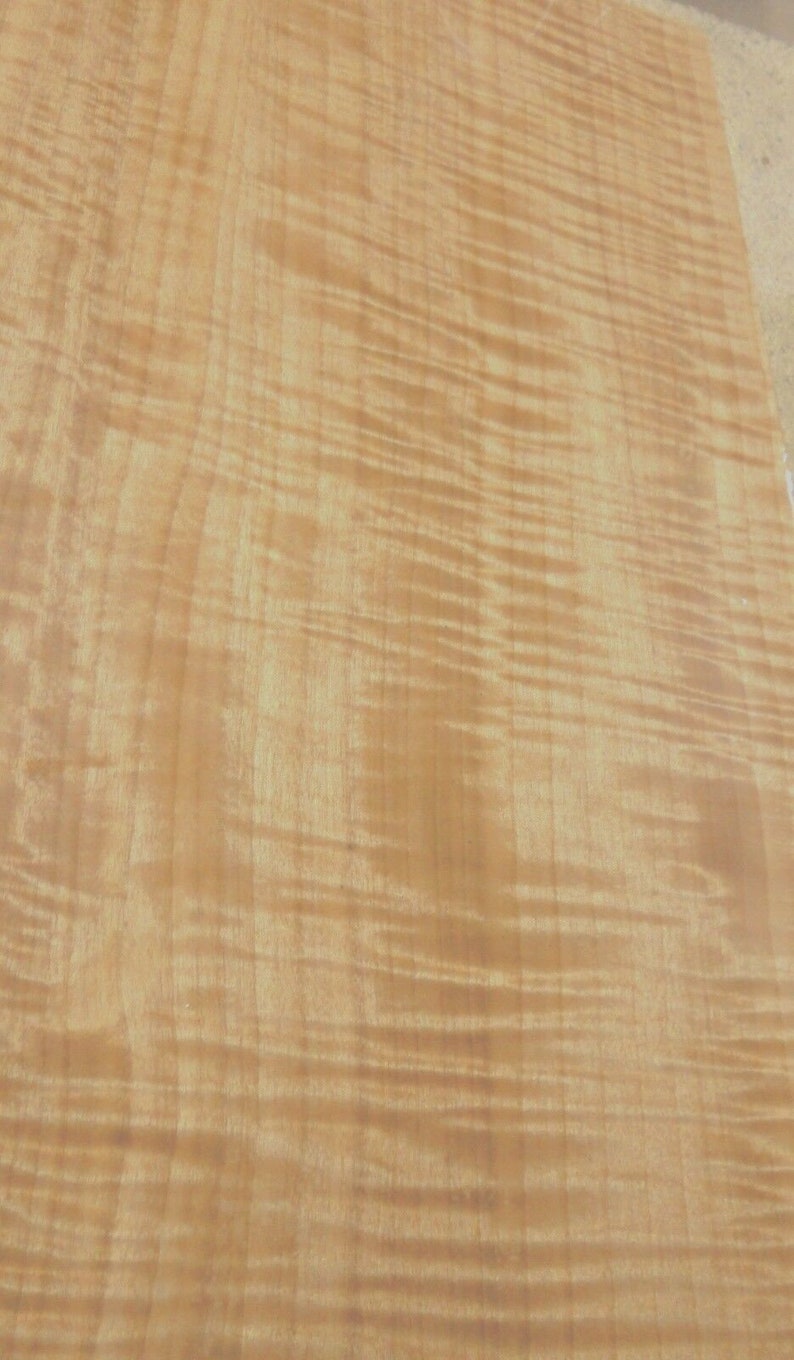 Anigrefigured Fiddleback Flame Wood Veneer 12" X 7" Raw No Backing 1/42 ...