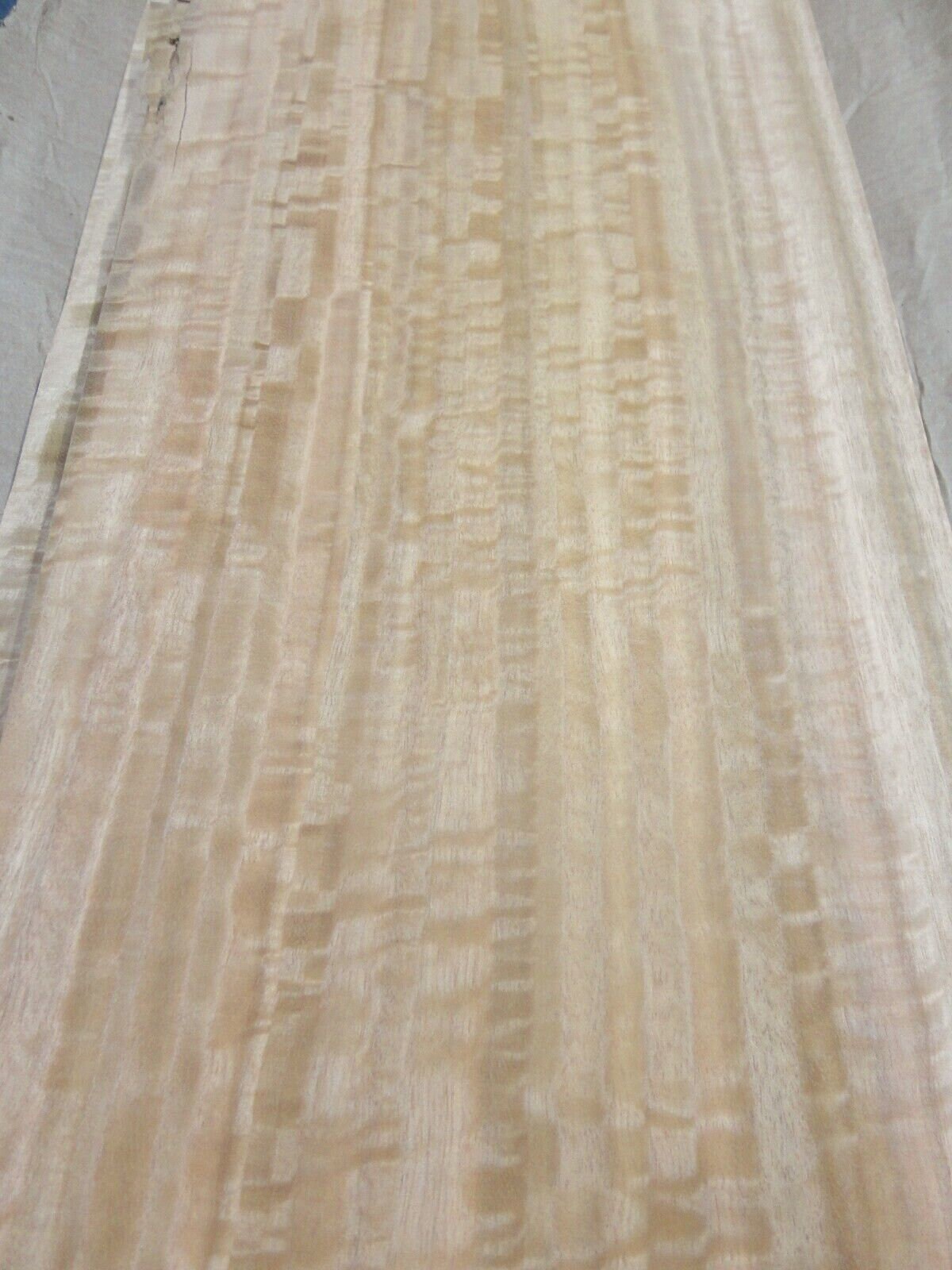 Eucalyptus Pommele Figured Wood Veneer 15 X 110 - Etsy