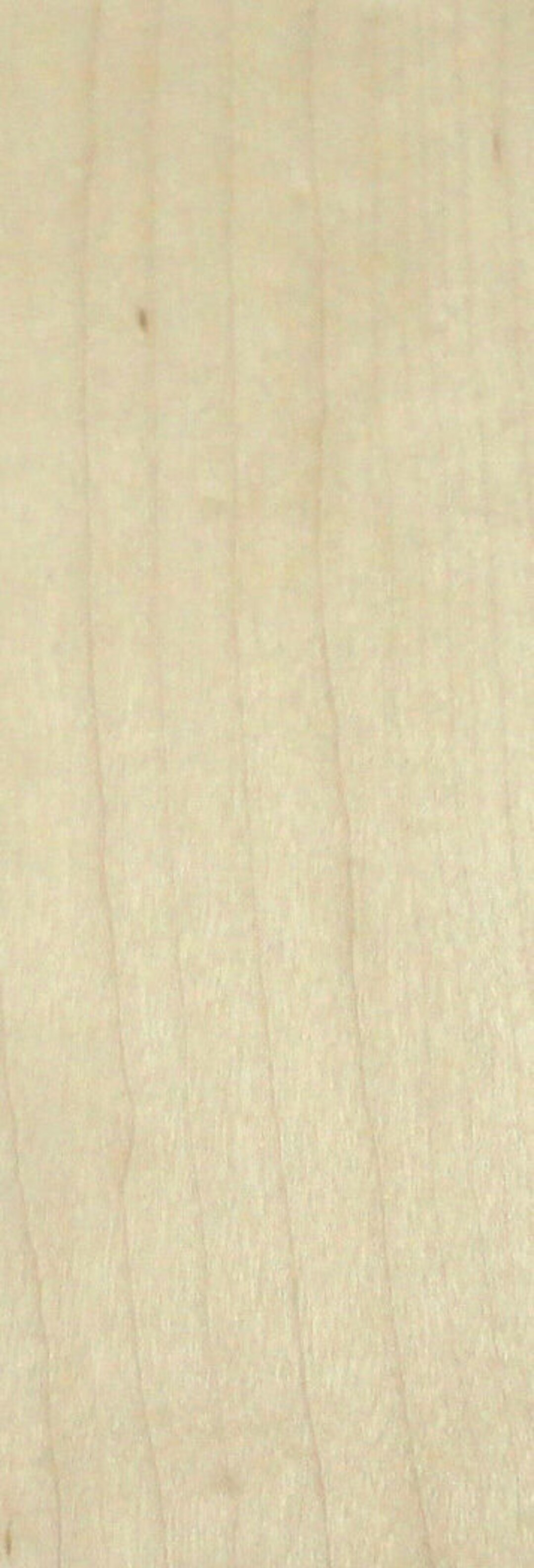 Maple Wood Veneer Edgebanding 1-3/8" X 120" Fleece Backer No Adhesive 1 ...