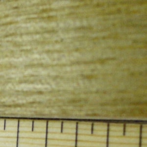 Sassafras Wood Veneer Edgebanding 7/8" X 120" on Thin Fleece With No ...