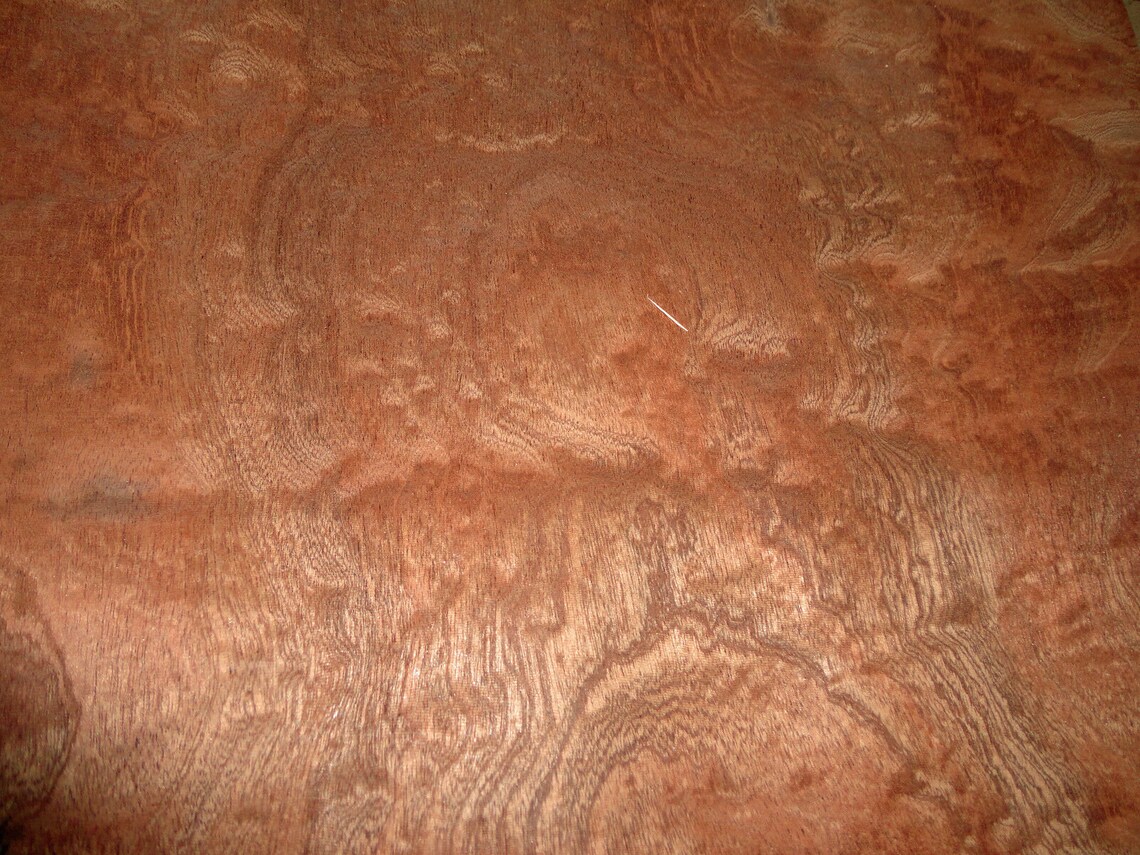 Sapele Pommele Figured Quilted Wood Veneer 15 X 65 | Etsy