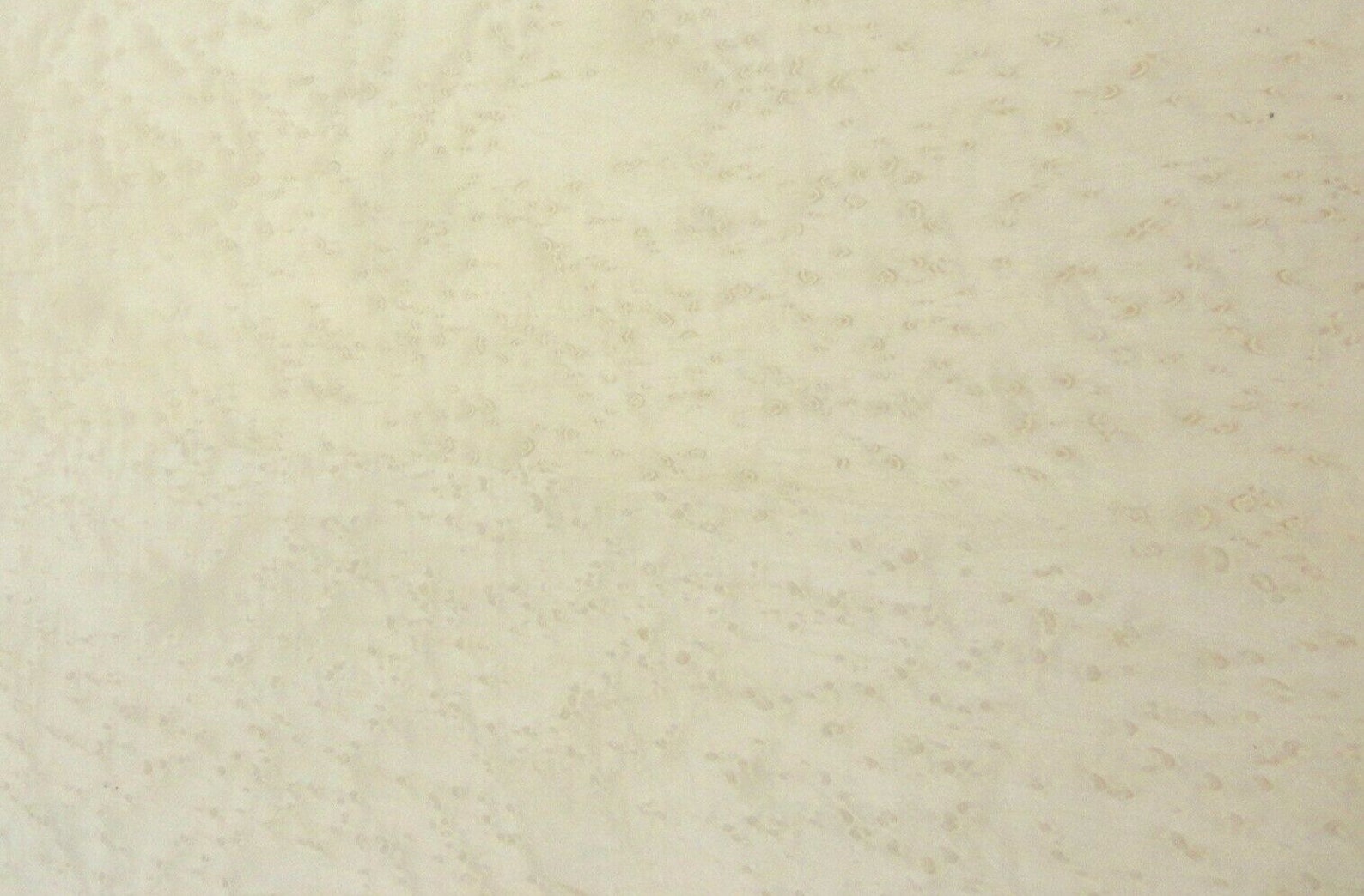 Birdseye Maple Dyed Bleached Wood Veneer 24" X 19" on Paper Backer 1/40 ...