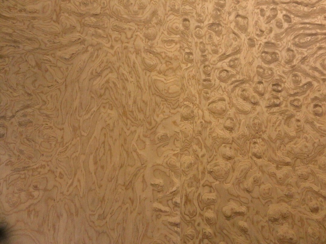 Carpathian Elm Burl PREFINISHED Composite Wood Veneer 24 - Etsy