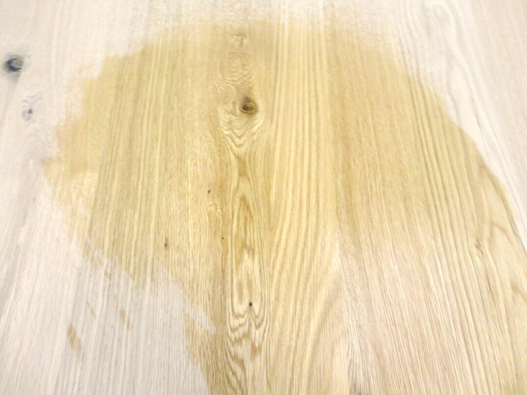 Oak White Rustic Plank Knotty Wood Veneer 24" X 24" on Paper Backer 1/ ...