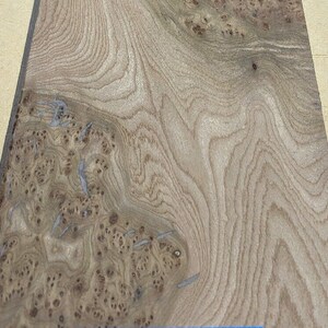 Carpathian Elm Burl Wood Veneer 11" X 17" With Paper Backer A Grade 1/ ...