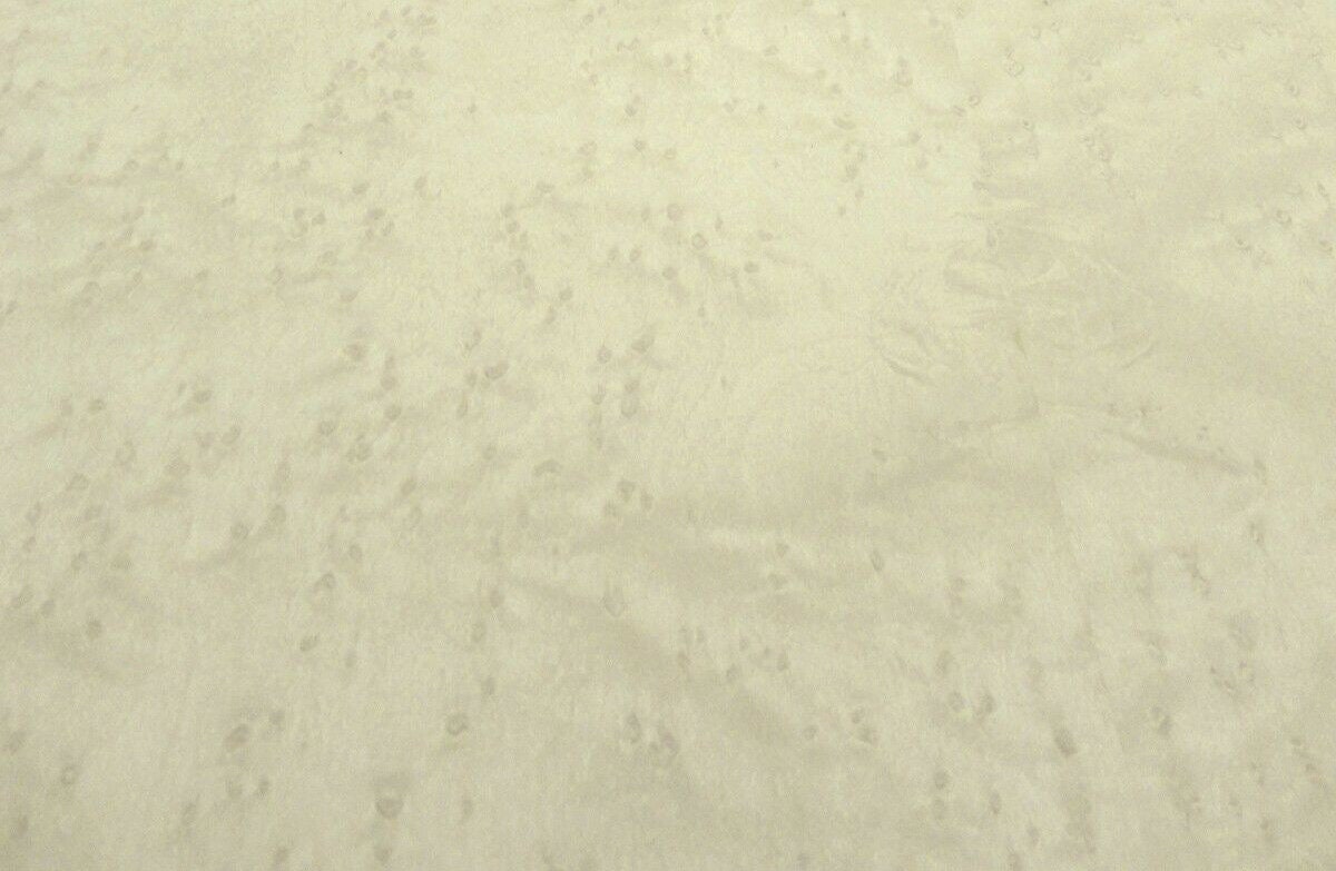 Birdseye Maple Dyed Bleached Wood Veneer 24" X 19" on Paper Backer 1/40 ...