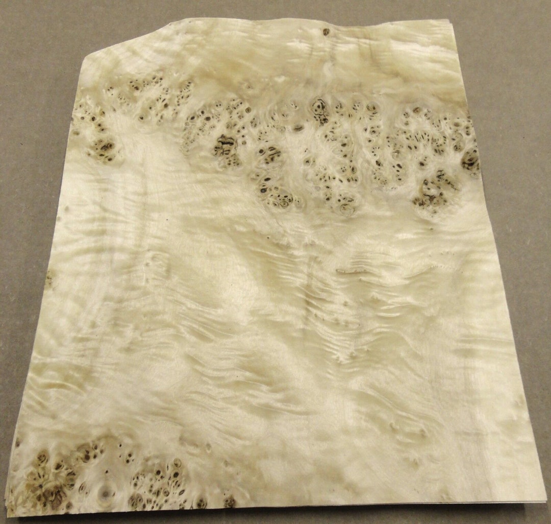 Mappa Burl Wood Veneer 13 X 16 Raw With No Backing 1/42 Thickness A ...