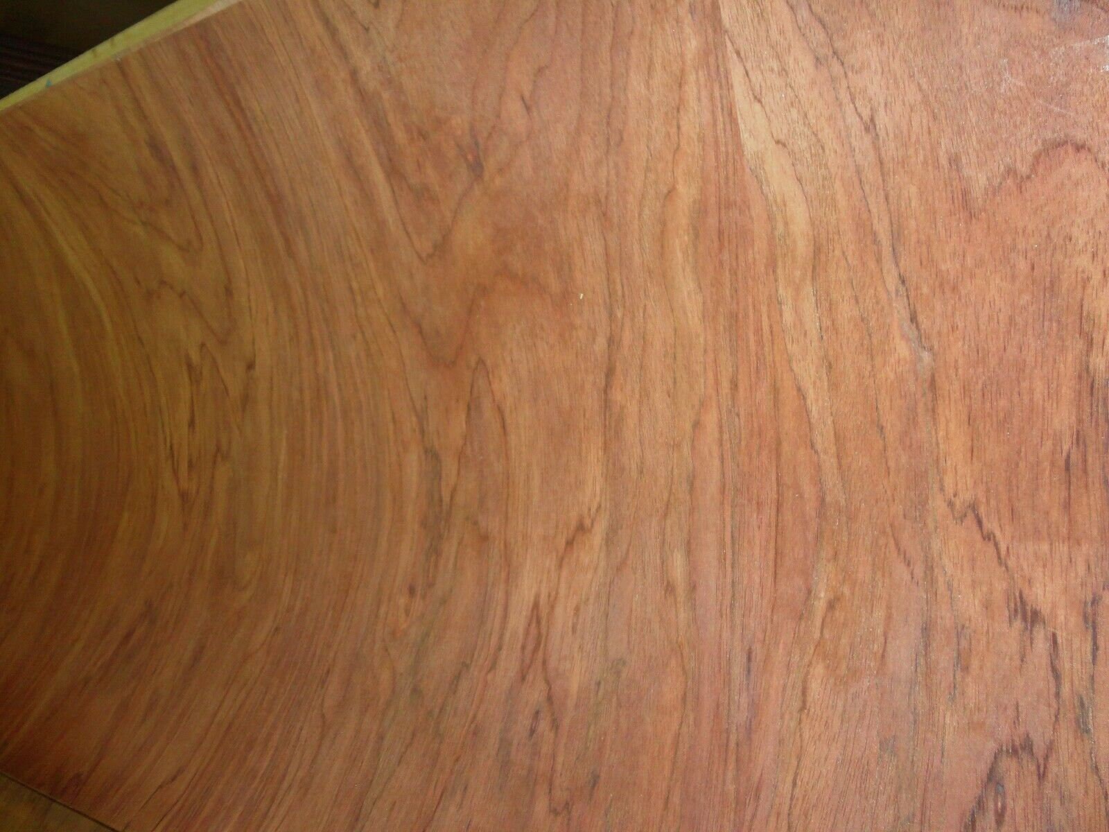 Etimoe African Walnut Wood Veneer 49 X 22 With - Etsy