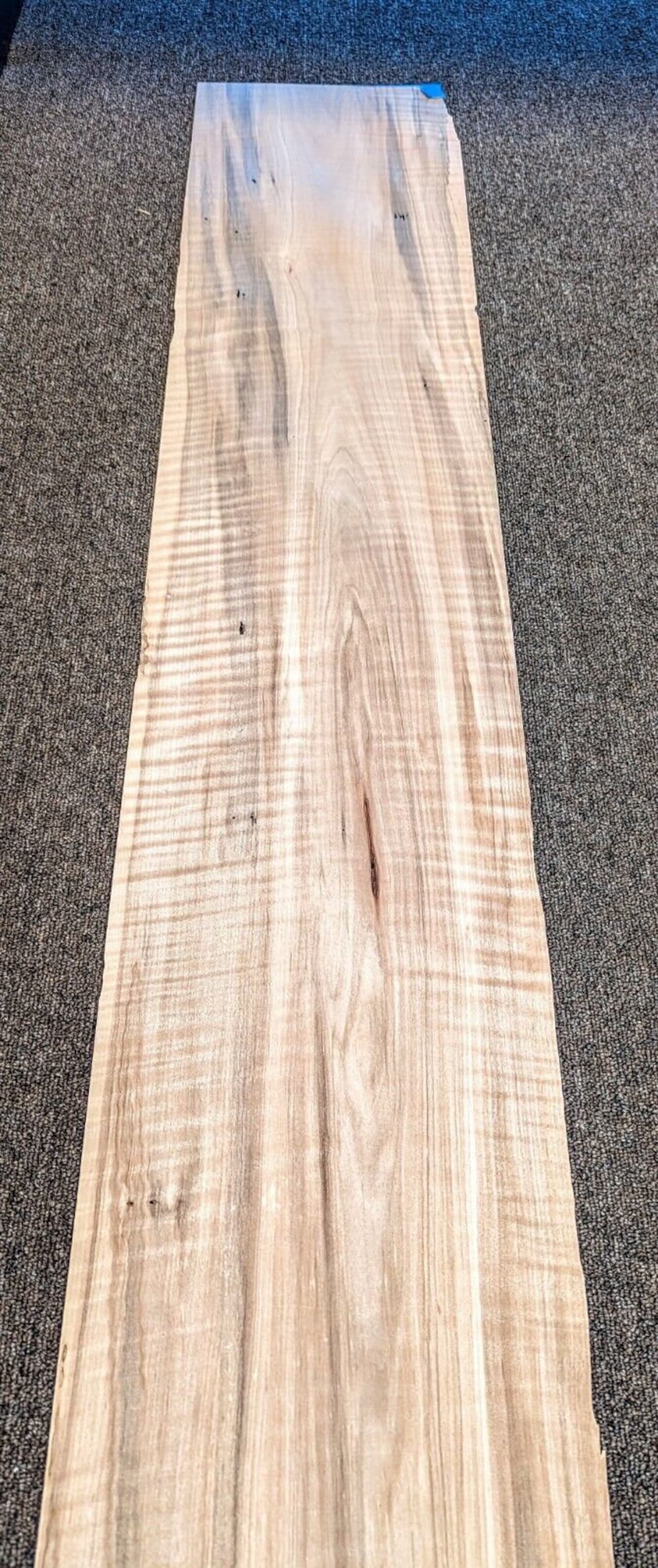 Maple Spalted Ambrosia Wormy Figured Fiddleback Wood Veneer 10" X 59" Raw 1/42" - Etsy