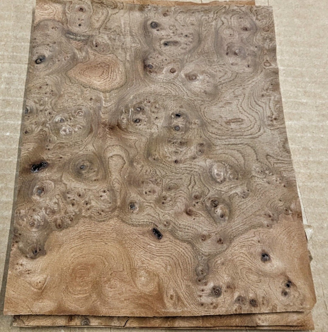 Carpathian Elm Burl Wood Veneer 6.5 X 8.5 Raw No - Etsy