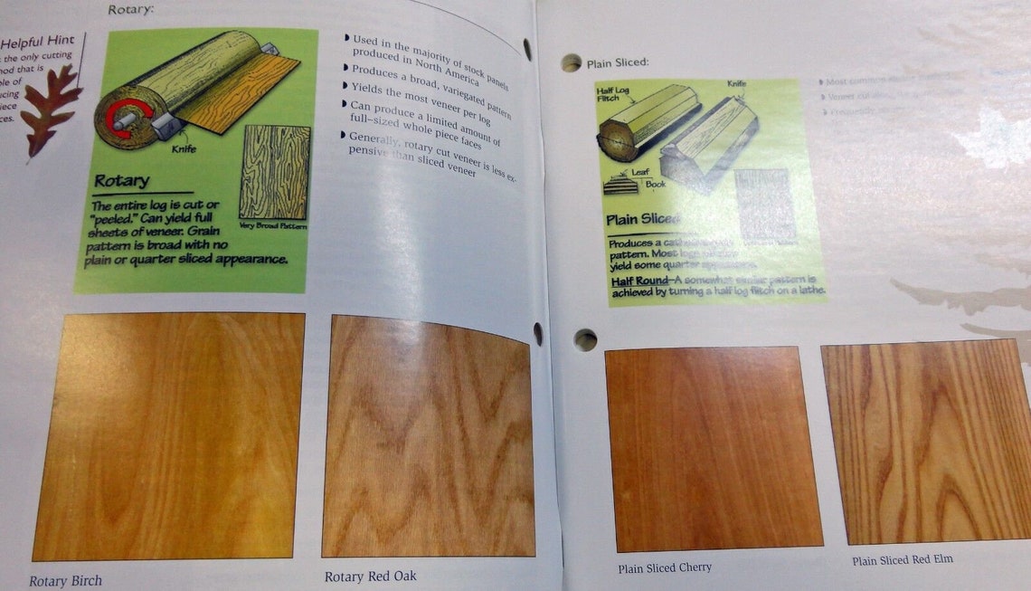Wood Veneer Sample Species Color Picture Photo Guide 80 Pages - Etsy