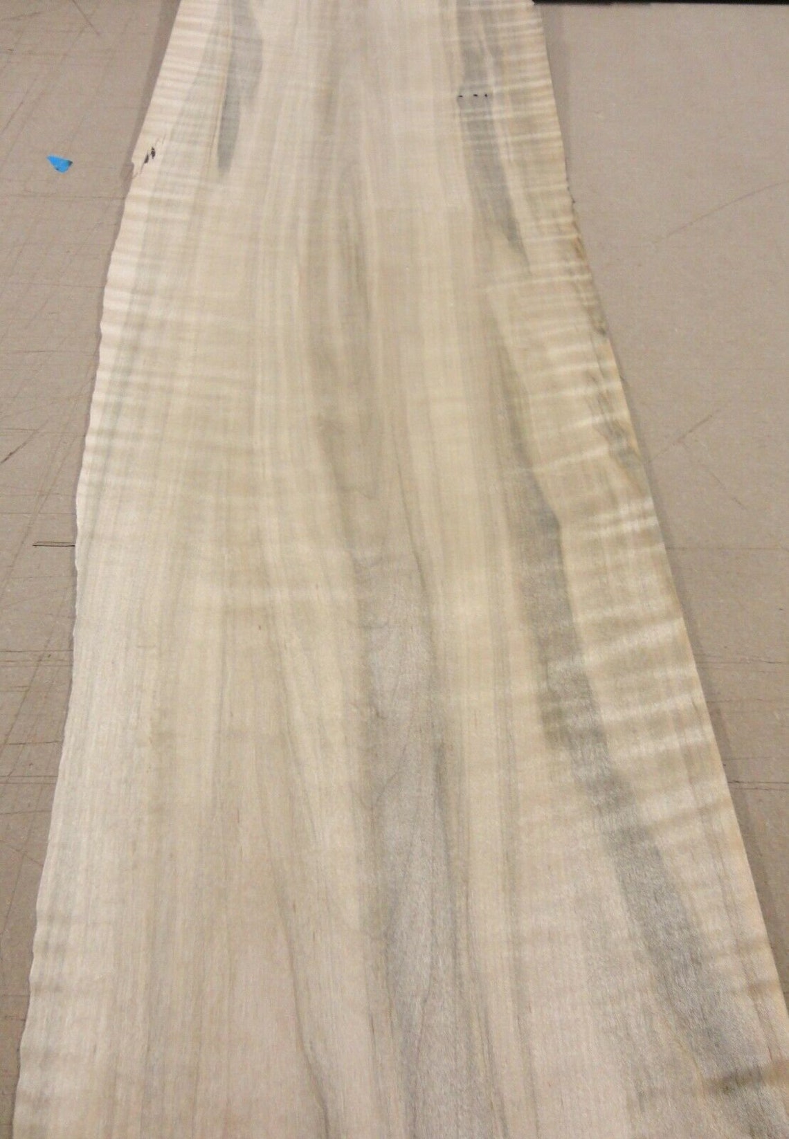 Spalted Ambrosia Wormy Maple Figured Fiddleback Wood Veneer - Etsy