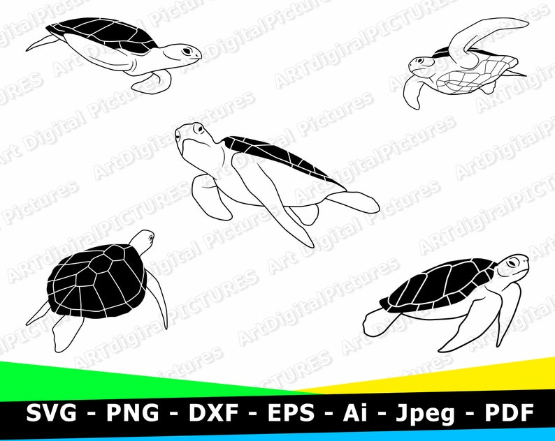 TURTLE SVG Sea Turtle Svg Sea Turtles Clipart Turtle Svg - Etsy